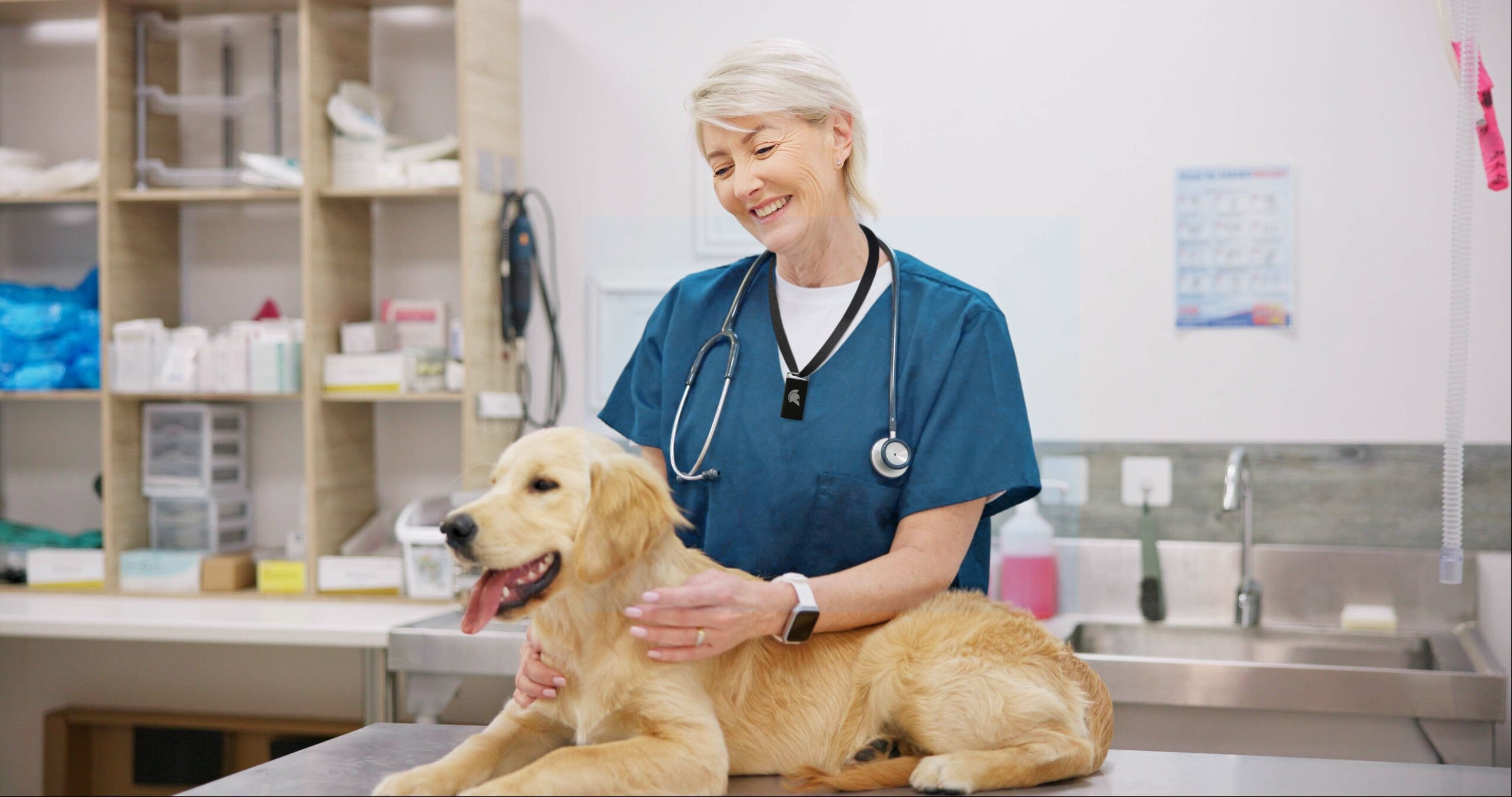 2FA for Veterinary Clinics | Fast Logins & Auto-Locks | GateKeeper